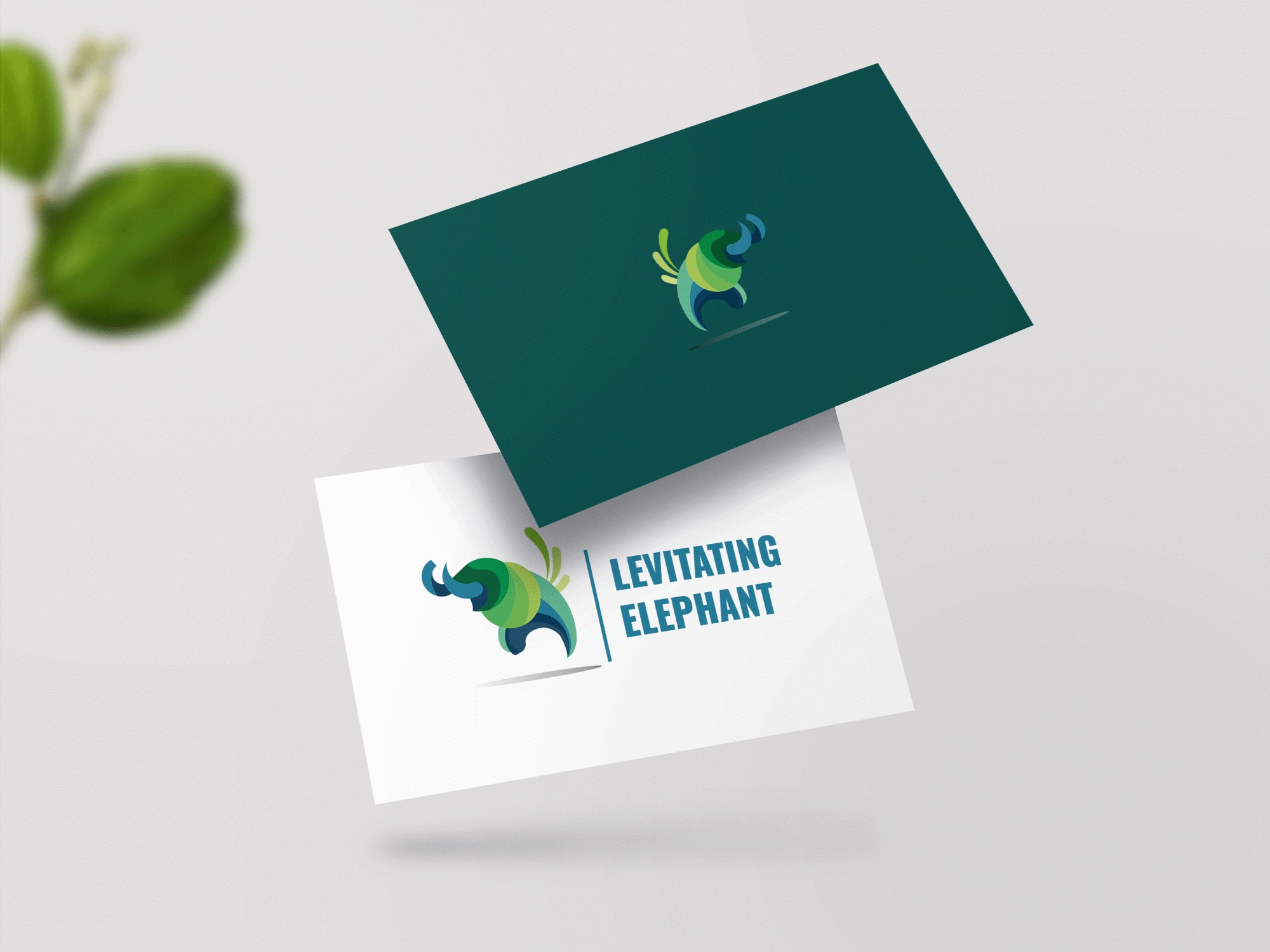 Levitating Elephant branding – Meet Studio